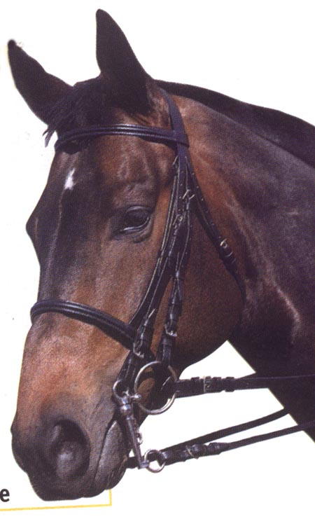 Uzdy a Uzdečky :: Towsend Acres