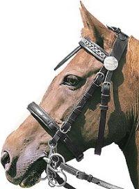 Uzdy a Uzdečky :: Towsend Acres